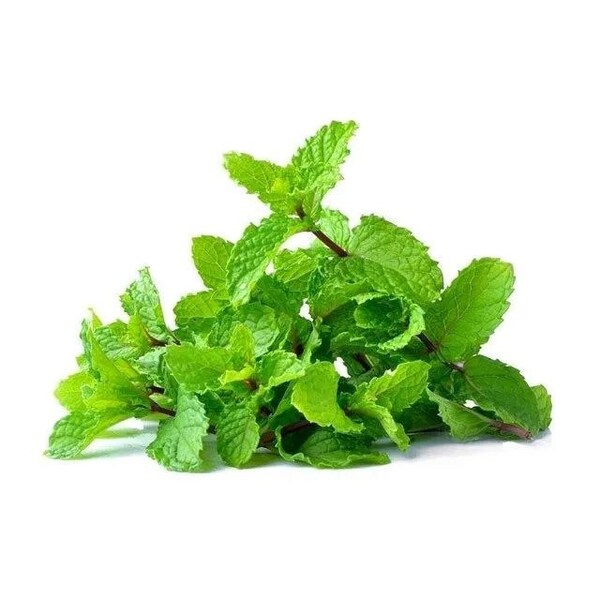 Thai Mint Seeds - Etsy