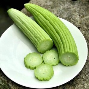 Light Green Long Cucumber Seed (F1) | Armenian Long Cucumber (F1) Seed ...
