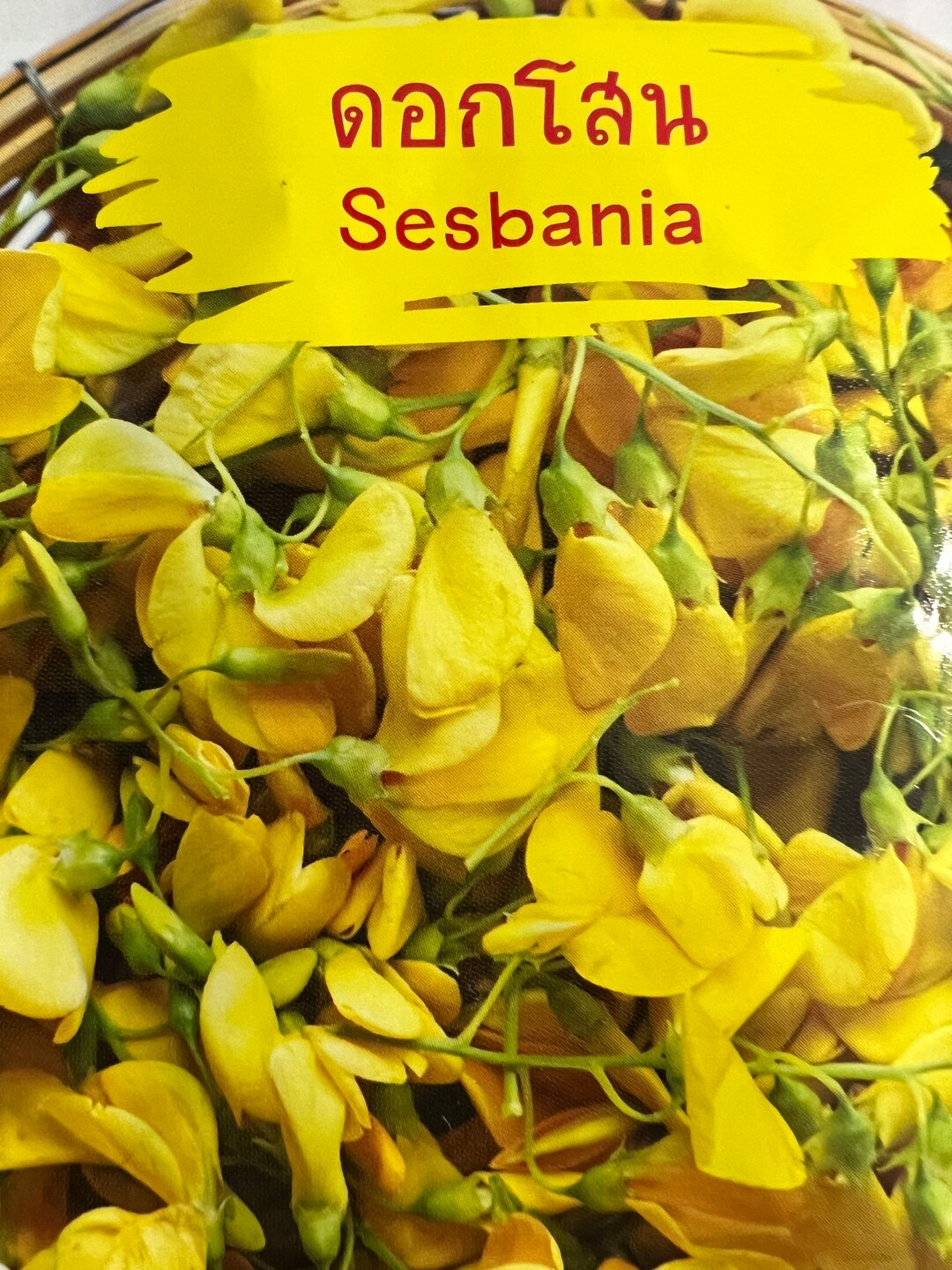 Sesbania Seed | Sano Seed (OP) - Etsy