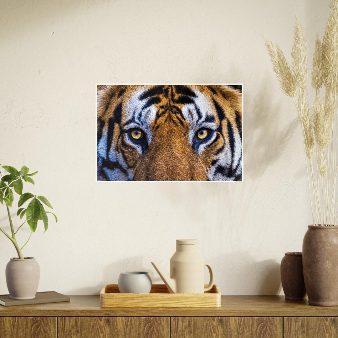 Tiger Eyes Photo Art Paper Poster | Close-up Wildlife Wall Decor - Etsy