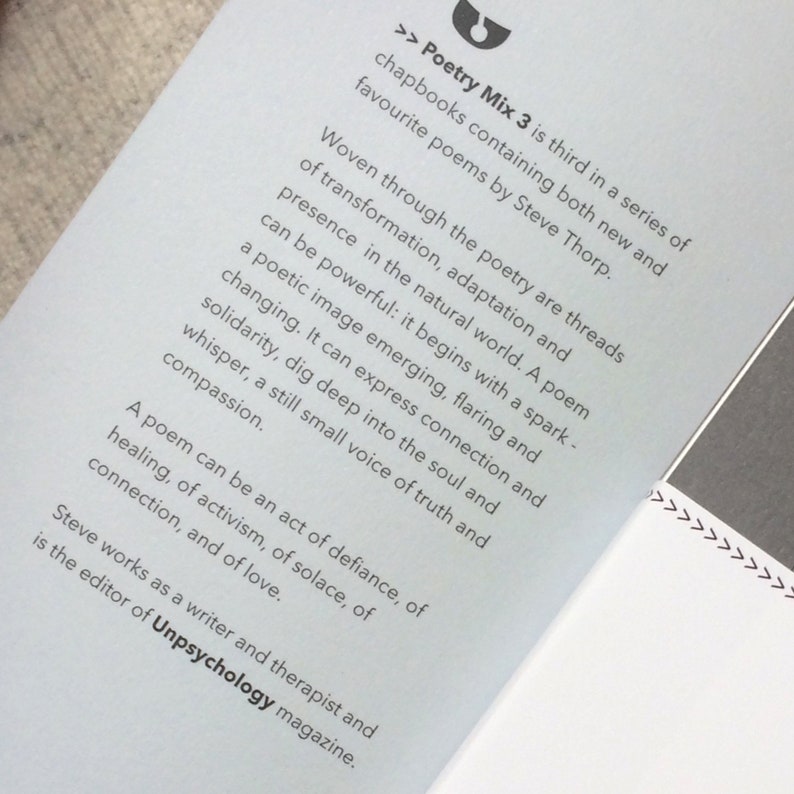 Poetry Mix Anthologies by Steve Thorp. Art and Design by Mary - Etsy