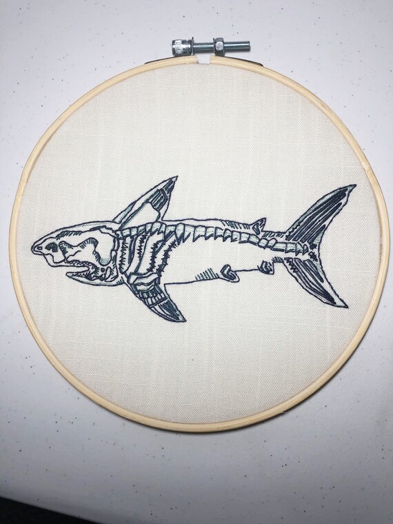 Shark Skeleton Drawing