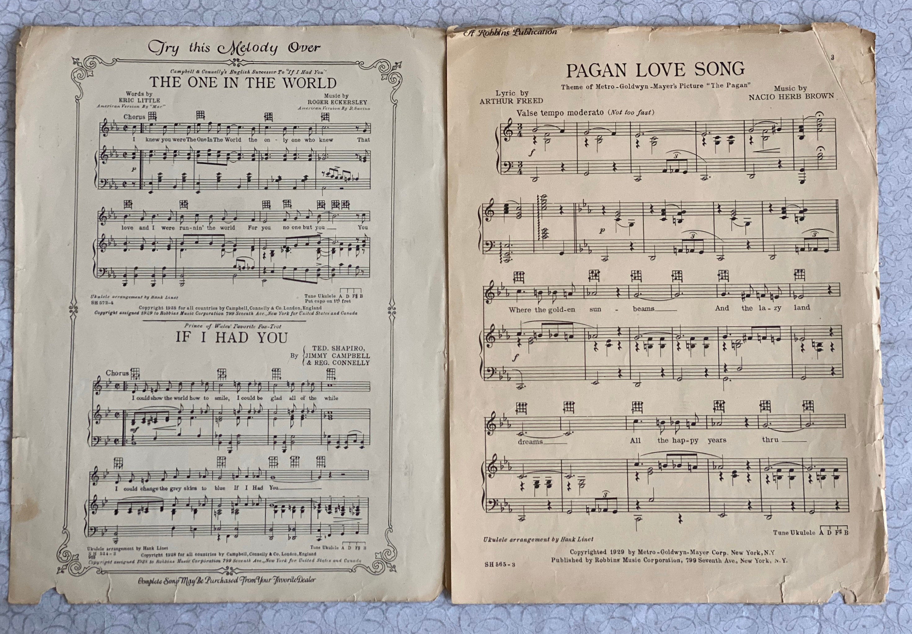 Pagan Love Song Sheet Music 1929 Vintage Sheet Music Arthur | Etsy