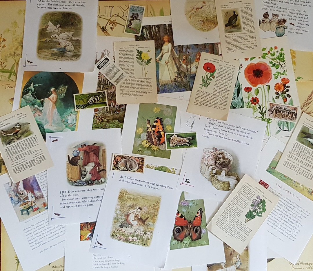 Flower Fairies Beatrix Potter Diary Edwardian Lady Nature Faeries Book ...