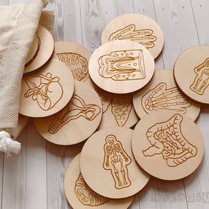 Human Organs 12 Pairs Body Biology Wooden Memory Game Matching Little ...