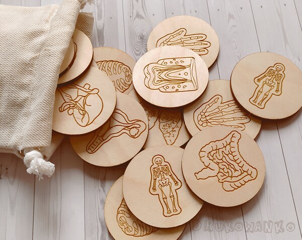 My Body Human Anatomy Matching Game Light Skin. Learn Human - Etsy Canada