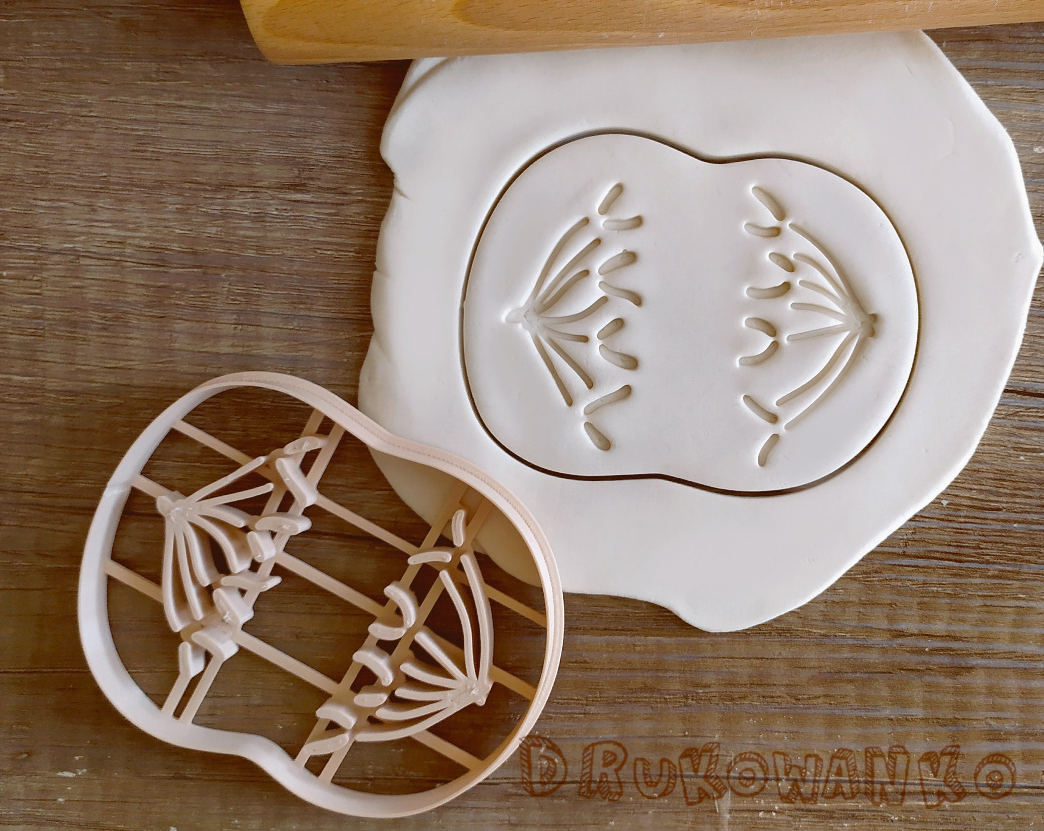 Mitosis Biology Cell Division Chemistry Cell Equational Division Cycle ...