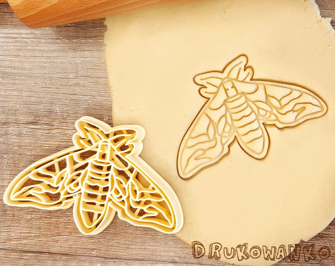Moth Butterfly Insect Night Pattern Classic Fantasy Animal Magic ...