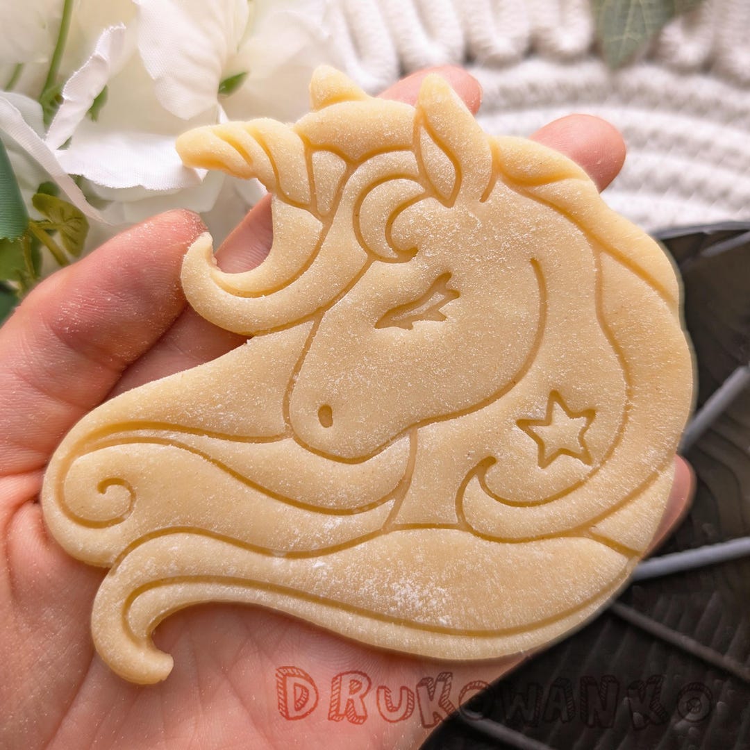 Unicorn Horse Head Horses Fantasy Magic Fairy Tale Kids Full Body ...