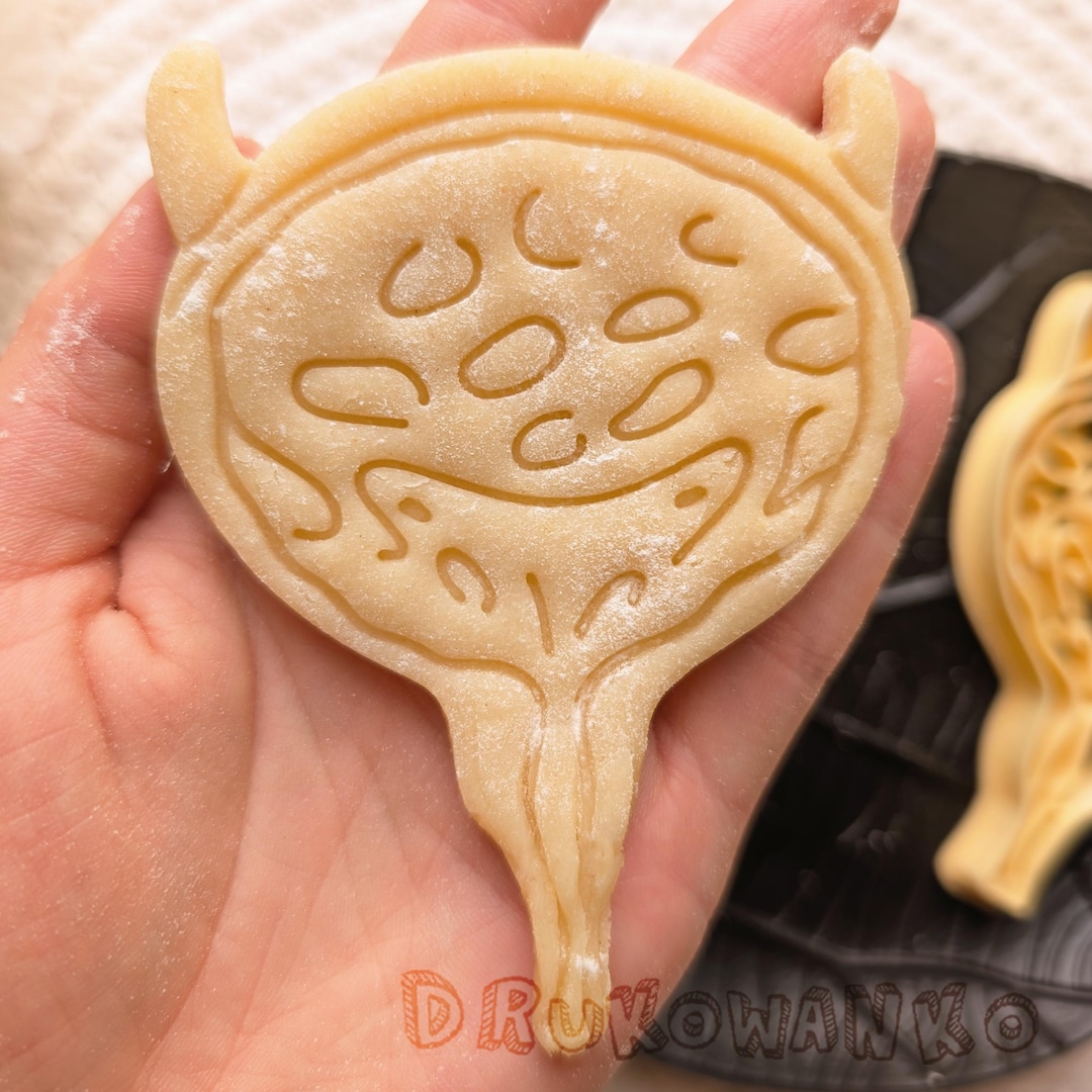 Bladder Human Body Blister Sac Medicine Biology Internal Organ Cookie ...