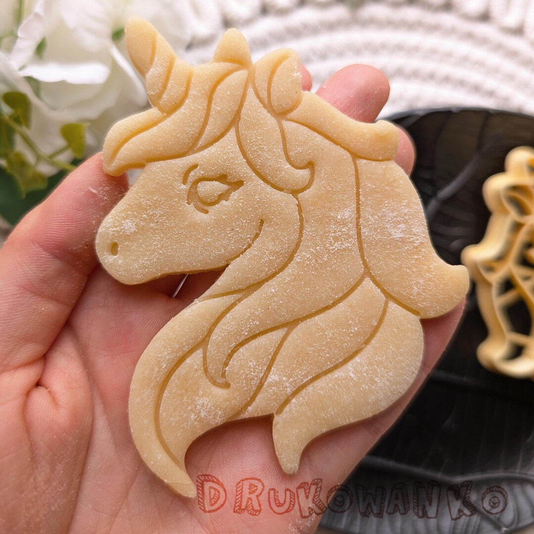 Unicorn Horse Horses Fantasy Magic Fairy Tale Kids Full Body Raider ...
