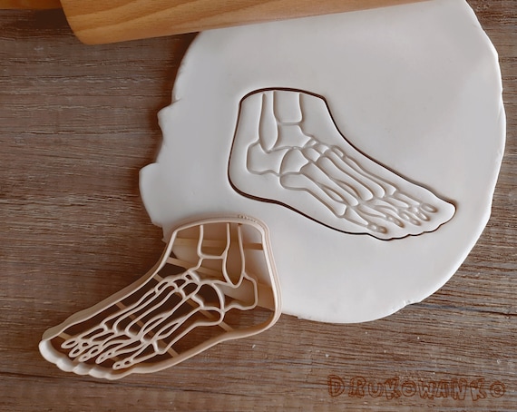 Foot Feet Anatomy Human Medicine Body X Ray Bones Muscles - Etsy
