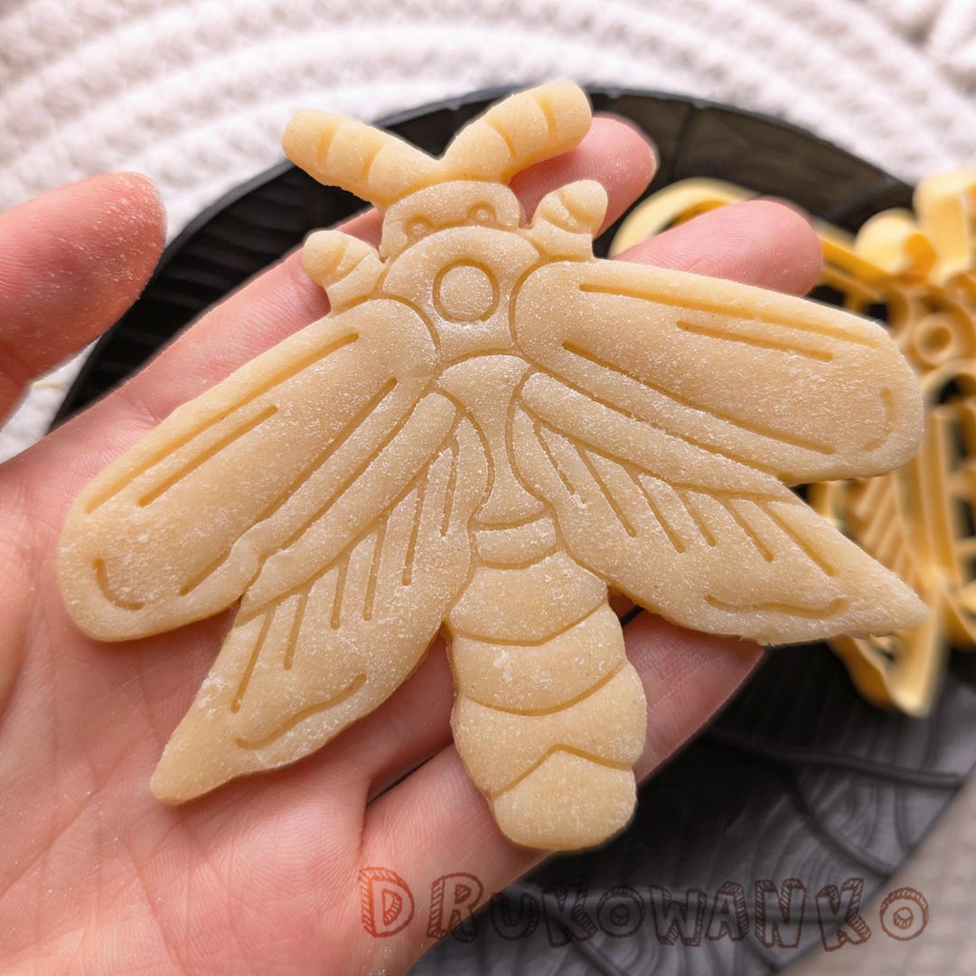 Firefly Worm Insect Nature Biology Fantasy Animal Magic Magical Witch ...