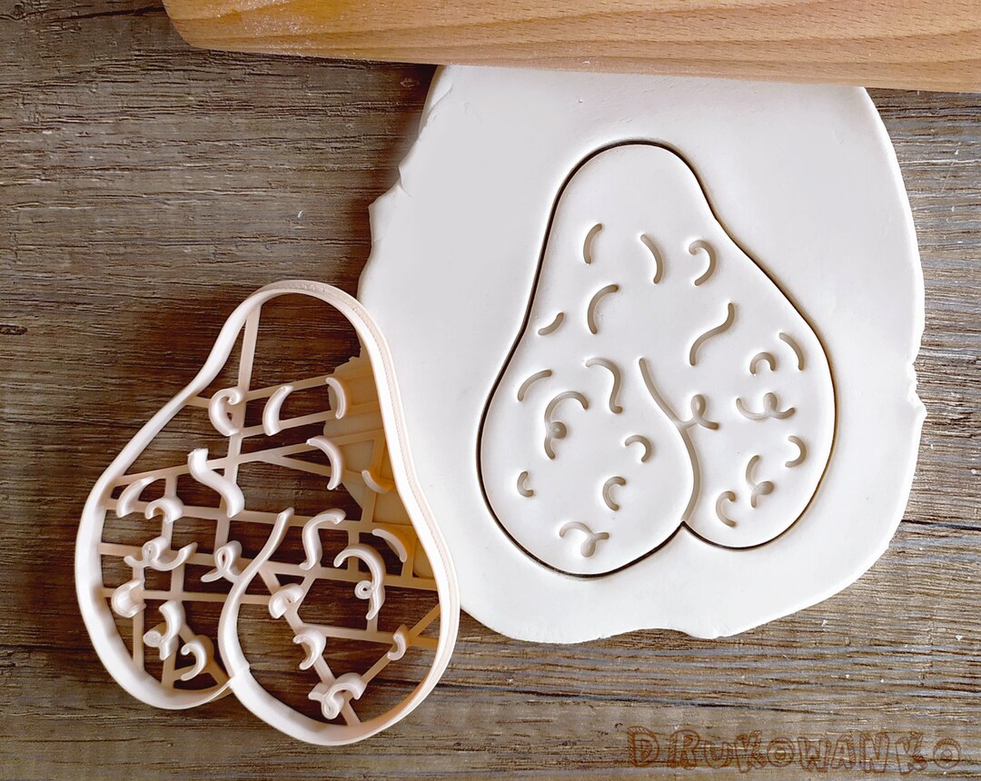 Male Reproductive Organs Penis Testicles Anatomy Human - Etsy
