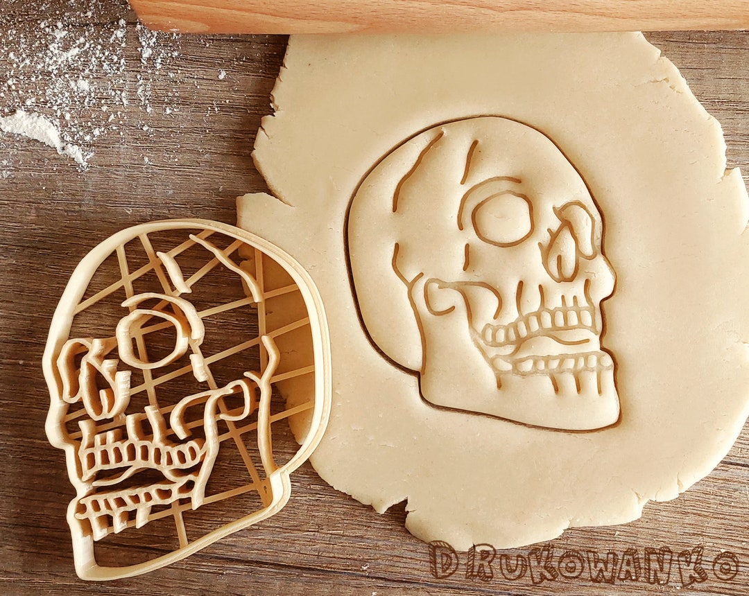 Anatomical Correct Skull From Angle Biology Human Body Medicine Jaw ...