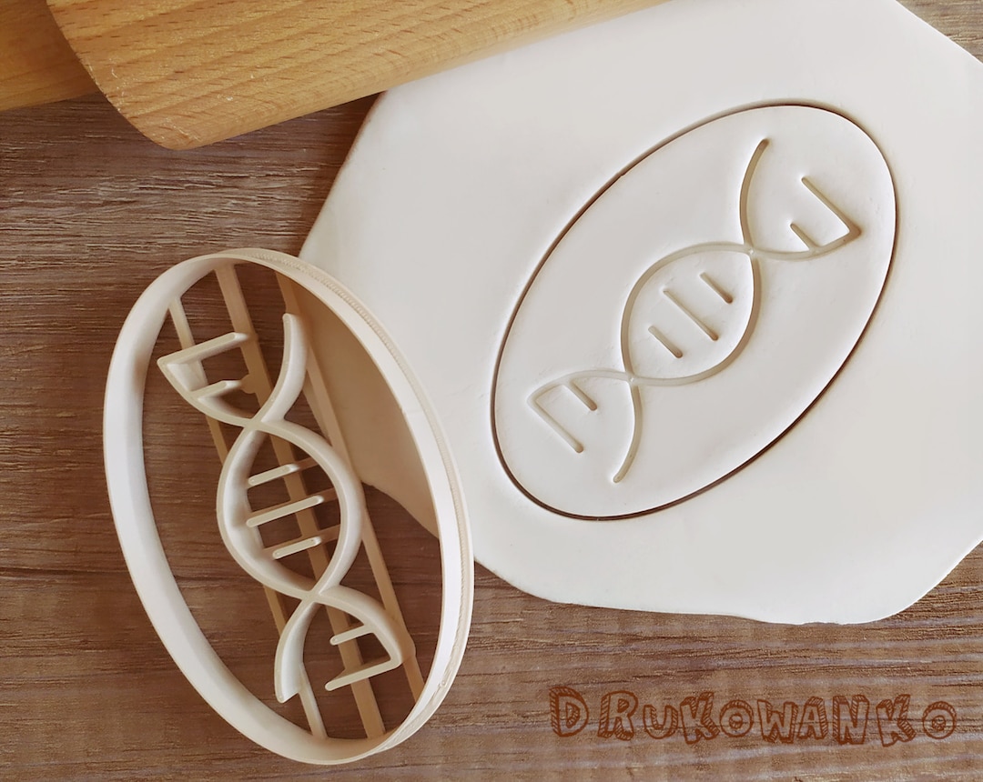 DNA RNA Biology Medicine Body Cookie Cutter Pastry Fondant Dough ...