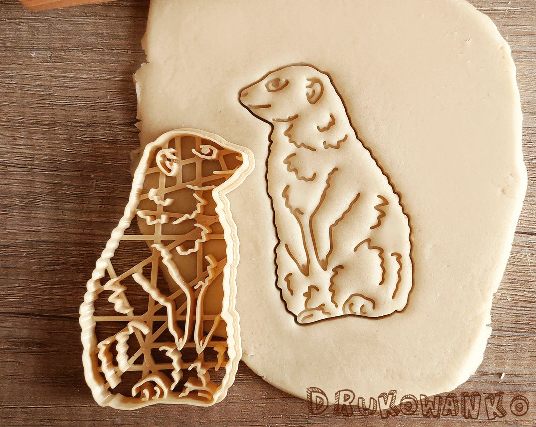 Meerkat Sitting on Watch Mammal Africa Popular Movie Animation Mongoose ...