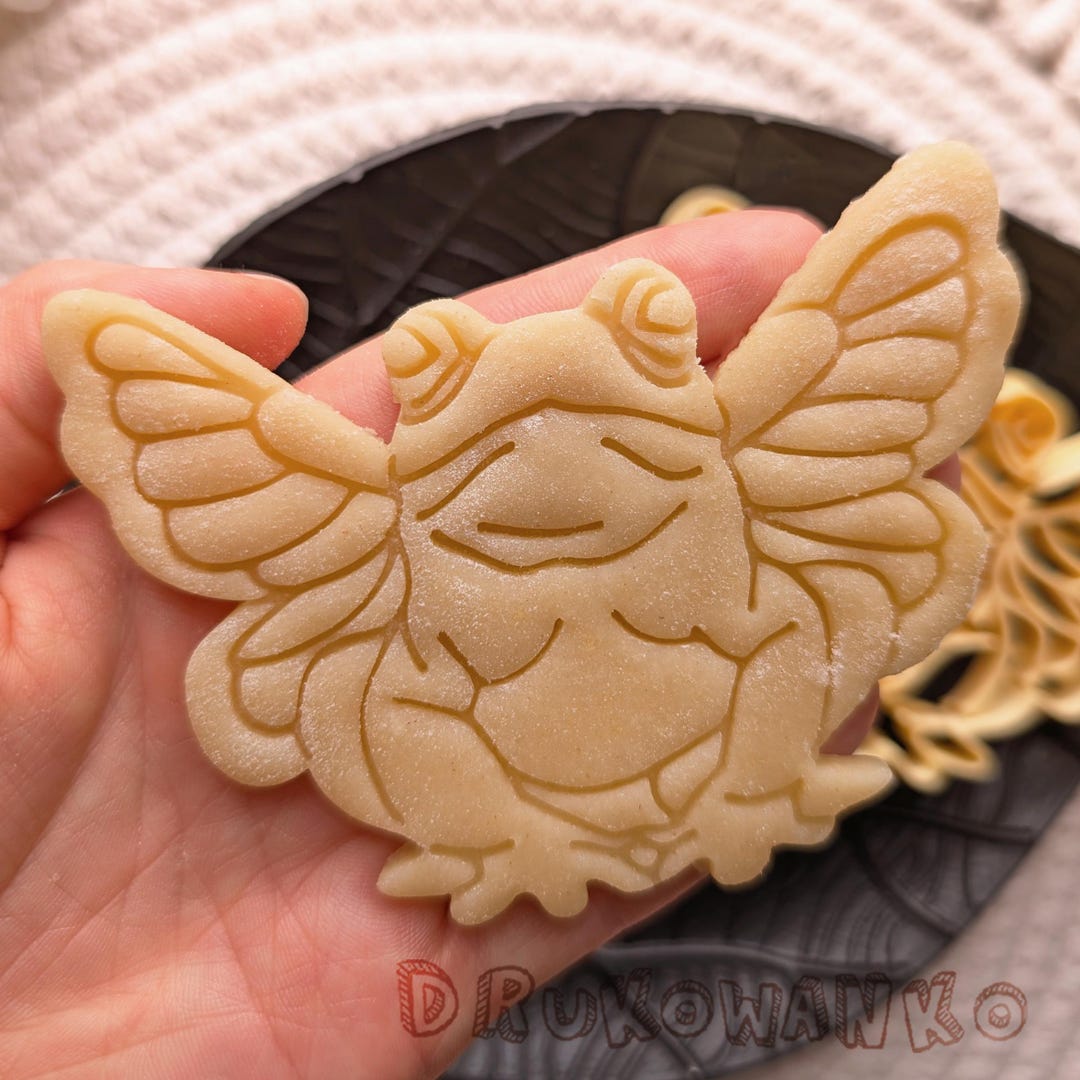 Frog Fairy With Magical Wings Princess Fantasy Lovely Creature Book Kid ...