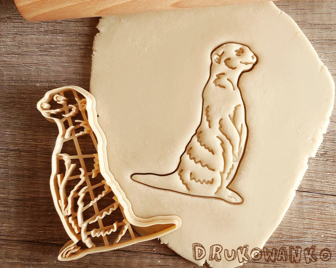 Meerkat Standing on Watch Mammal Africa Popular Movie Animation ...