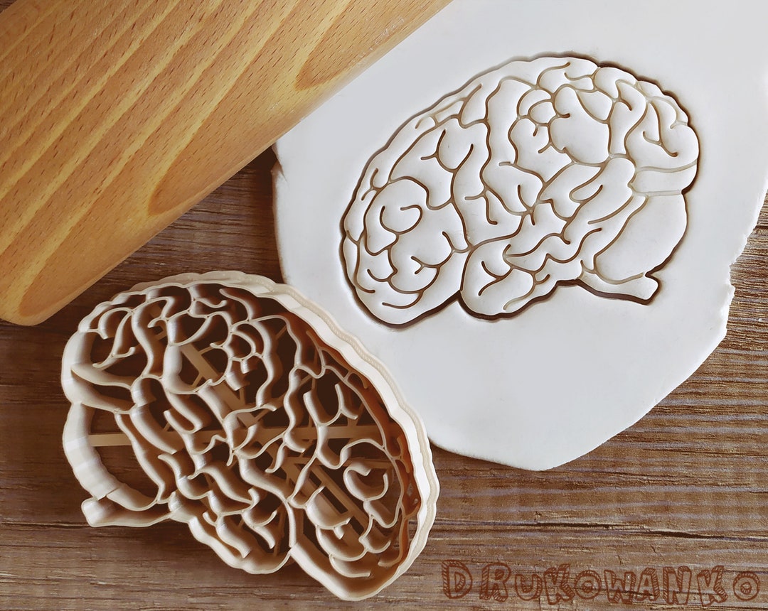 Brain Medicine Body Cookie Cutter Pastry Fondant Dough Biscuit - Etsy