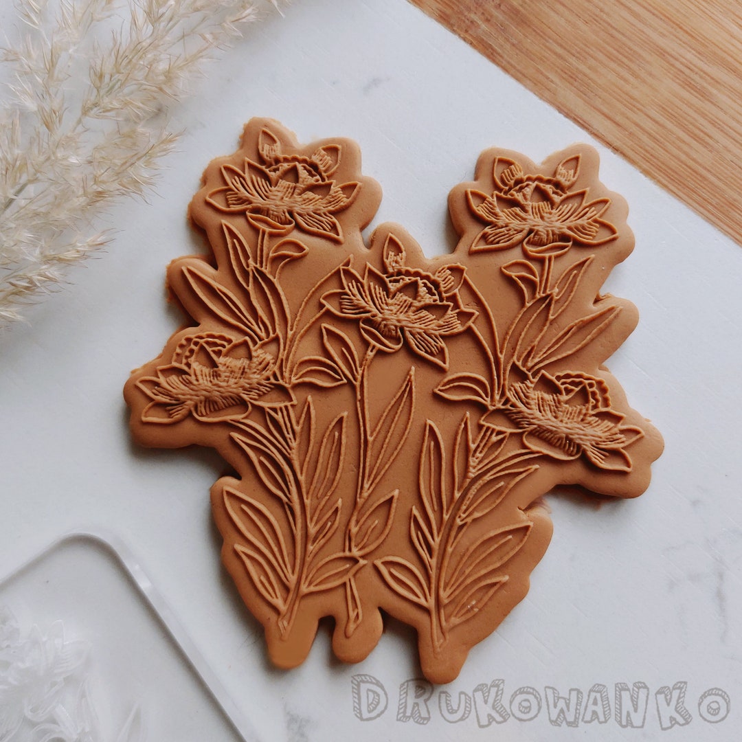 Pensy Orchid Beautiful Rose Spring Meadow Nature Flowers Flower Grass ...