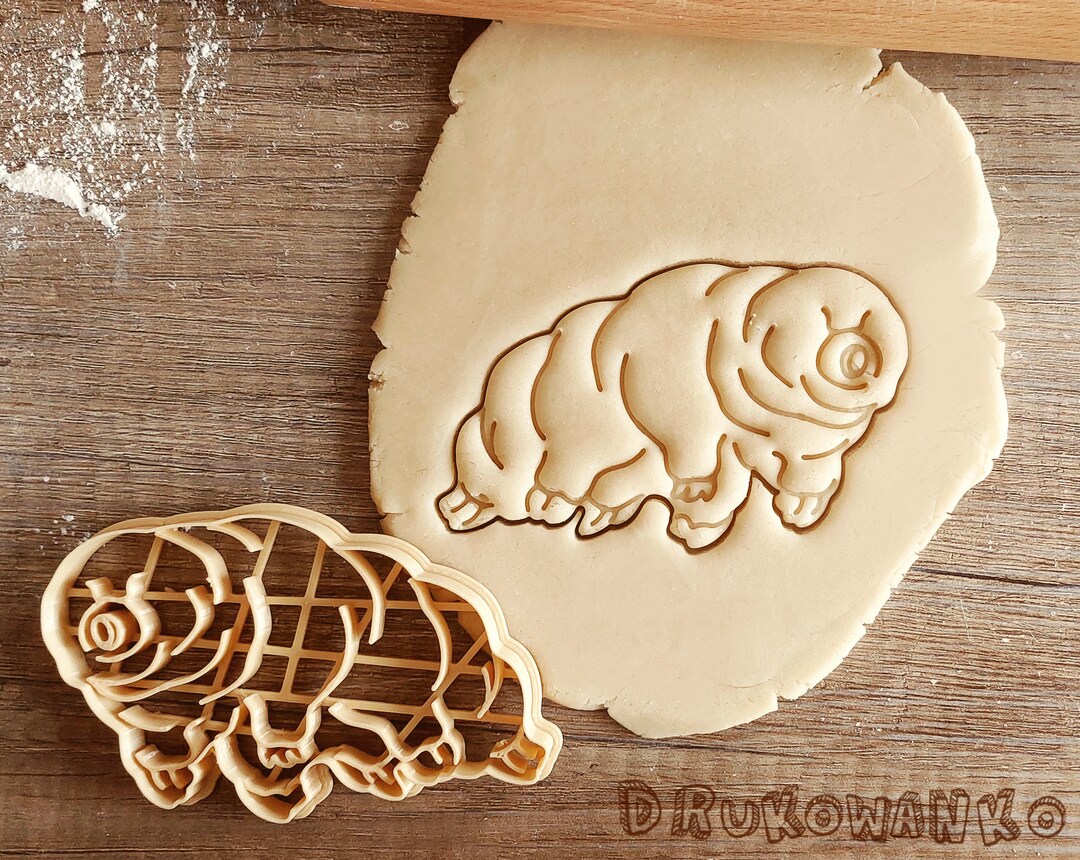 Tardigrade Water Bear Moss Piglet Insect Phylum Biology Chemistry ...