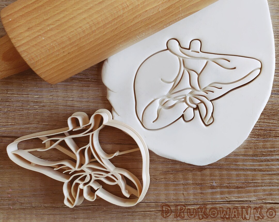 Human Liver Medicine Body Cookie Cutter Pastry Fondant Dough Biscuit - Etsy