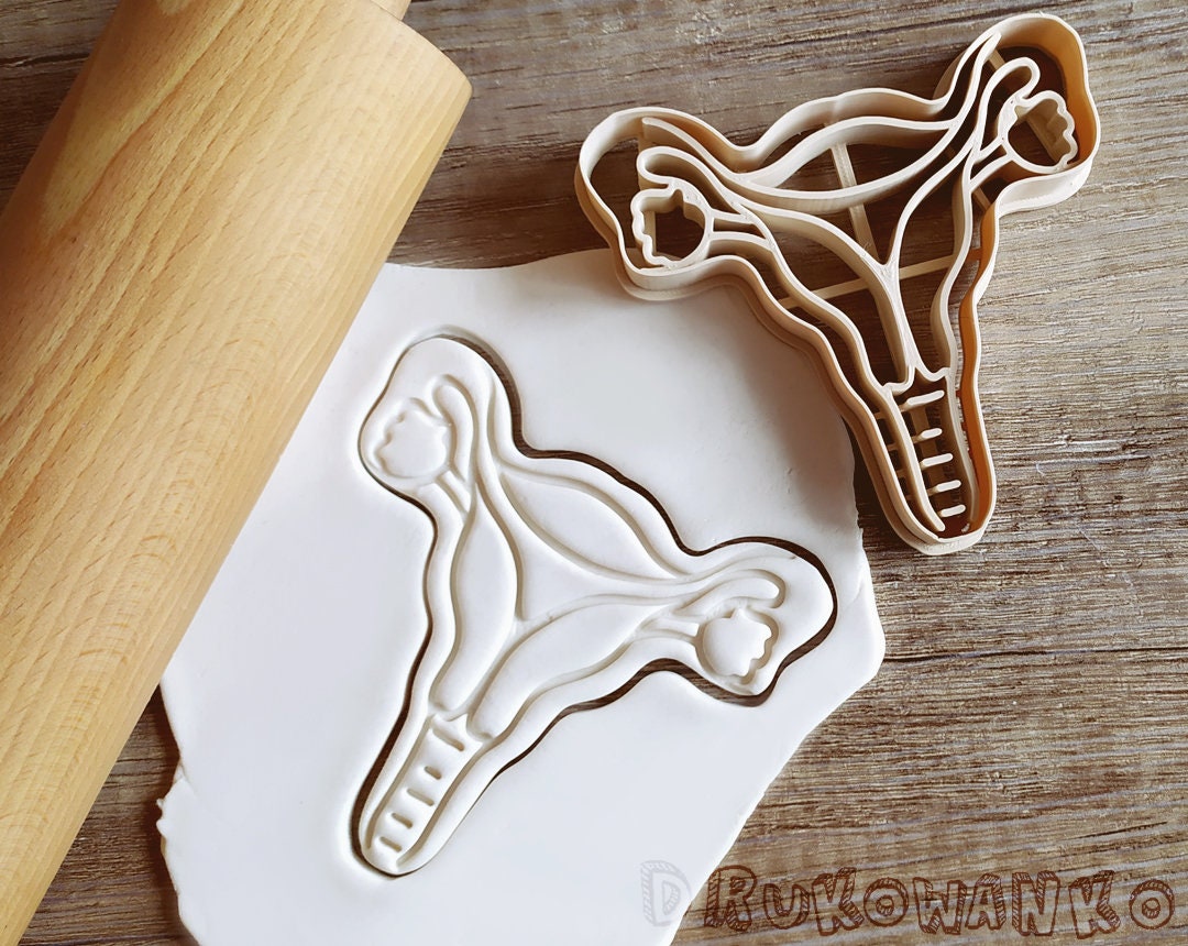 Uterus Medicine Body Cookie Cutter Pastry Fondant Dough Biscuit - Etsy