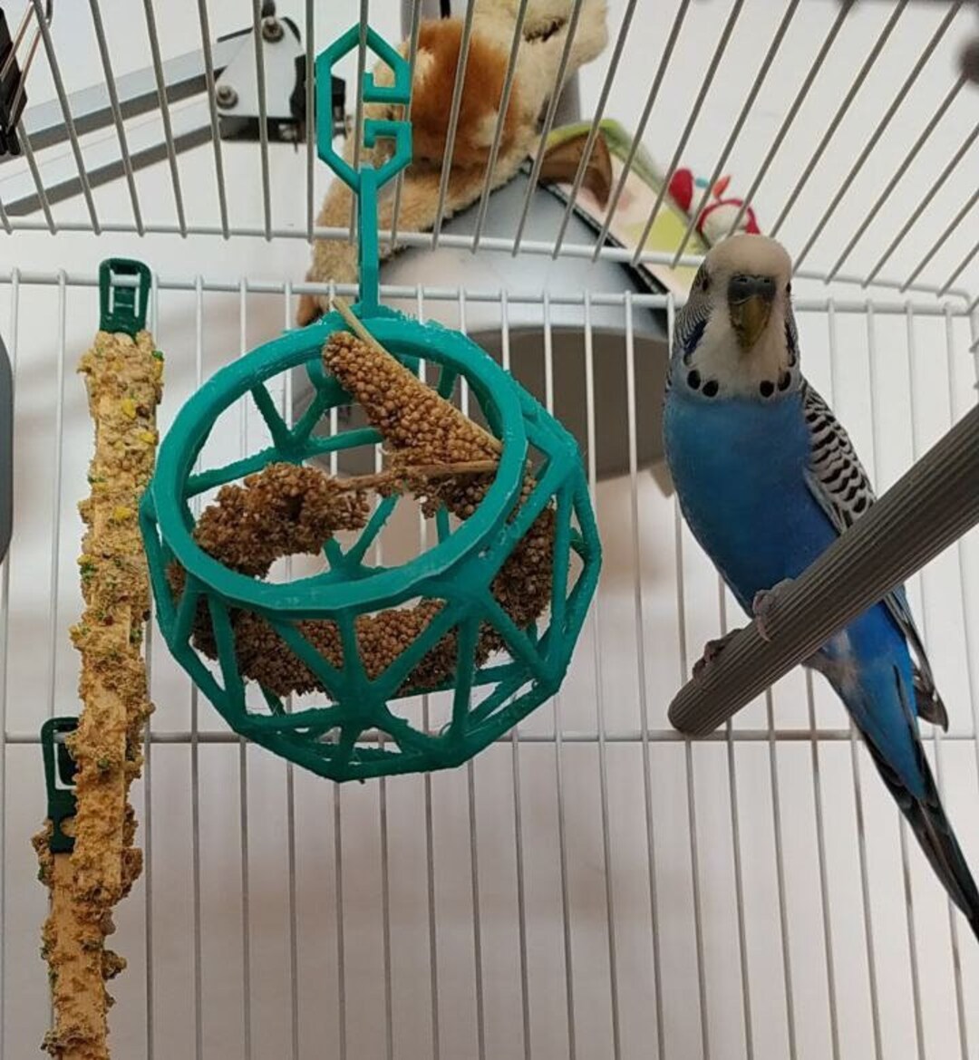 DIGITAL FILE Bird Toy Parrot Parakeet Food Dispenser Fruit Holder Panic ...
