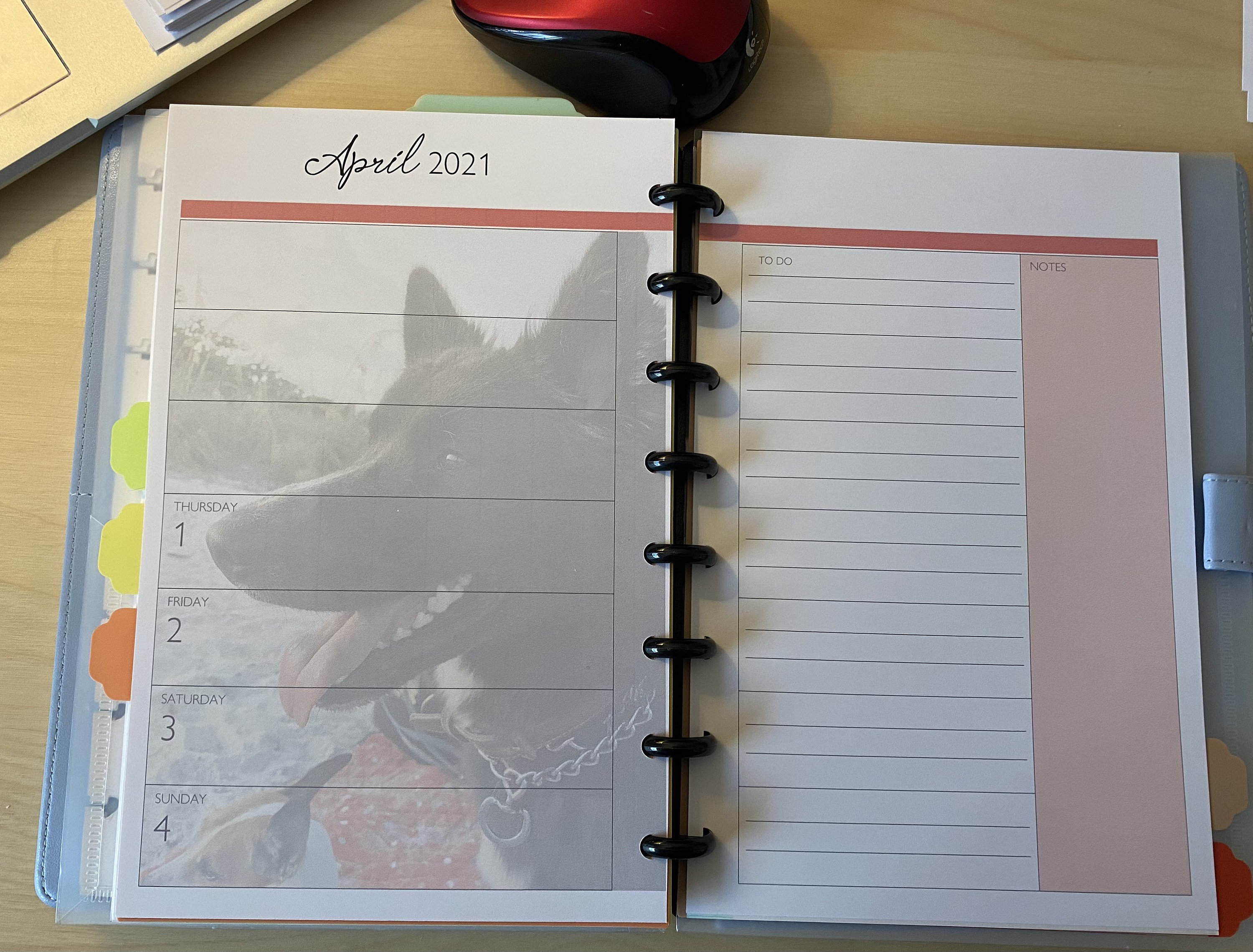 Weekly Disc-bound Calendar Printed Refill / Jarvis (custom Dates) - Etsy