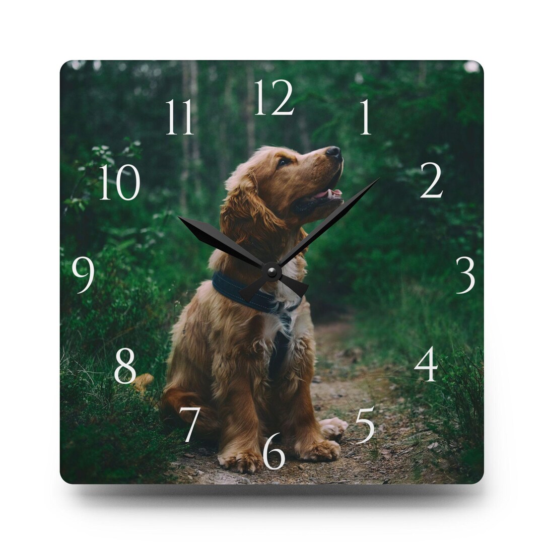 Custom Photo Pet Clock, Memorial Pet Loss Clock, Pet Lover Gift, Dog ...