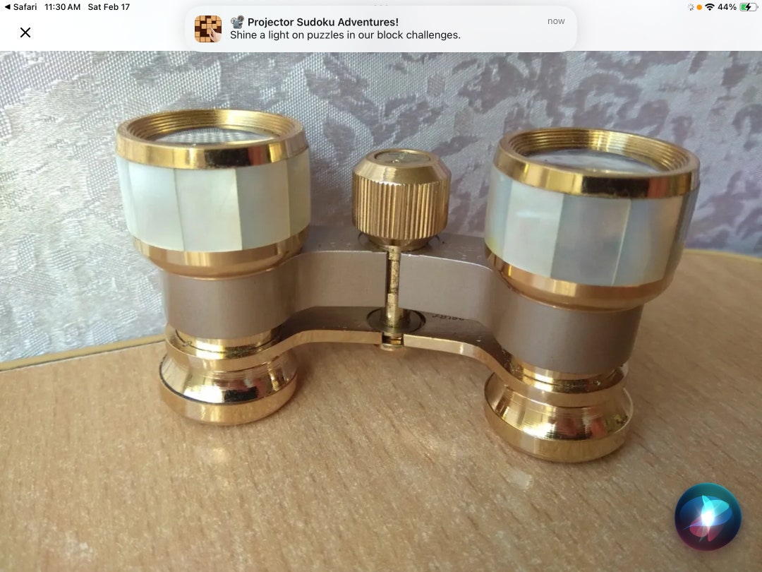 Rare Vintage Theatre Opera Glasses Binocular Lorgnette Raleigh Mother ...