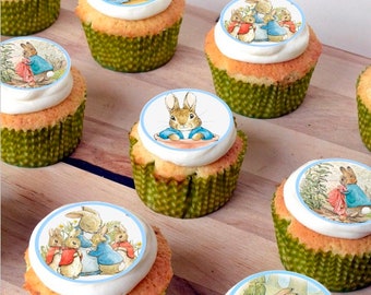 Peter Rabbit Cookies - Etsy