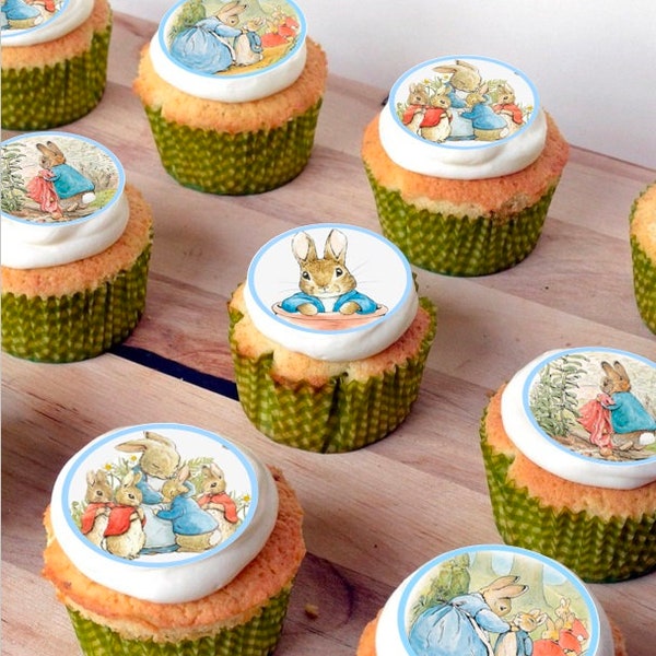 Peter Rabbit Sheet Cake Decorations - Etsy