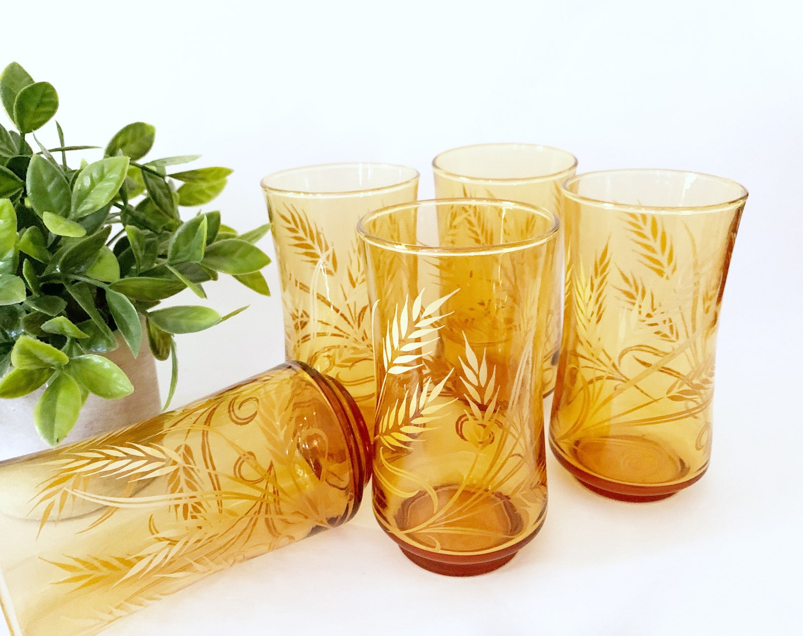 Vintage Amber Glasses Wheat Oats Set of 5 Glasses - Etsy