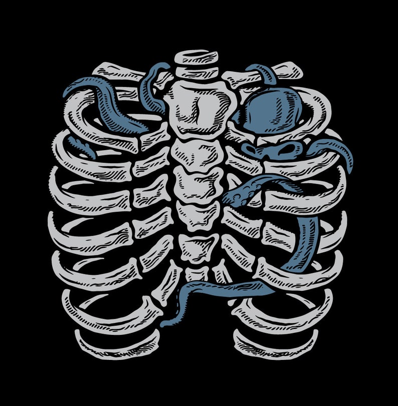 Octopus Ribcage Skeleton Skull Digital Art File Pdf Svg - Etsy
