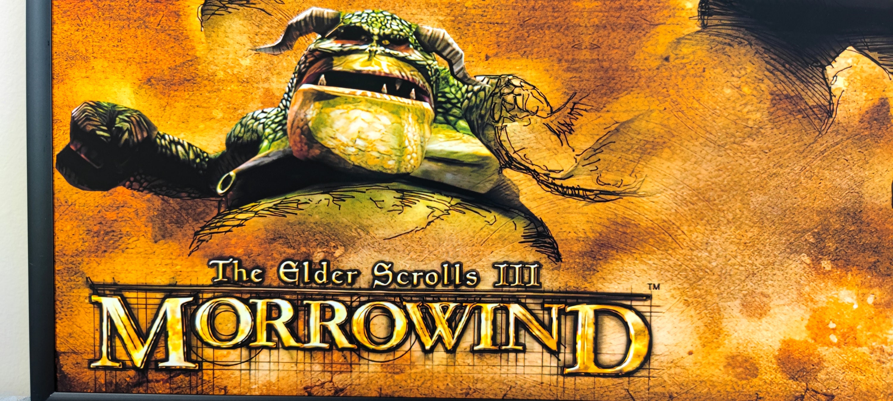 Morrowind Cover