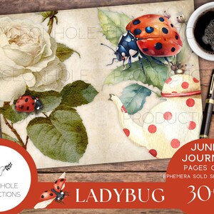 Ladybug Junk Journal Pages Only Kit, PRINTABLE, 30 Collage, Lined and ...