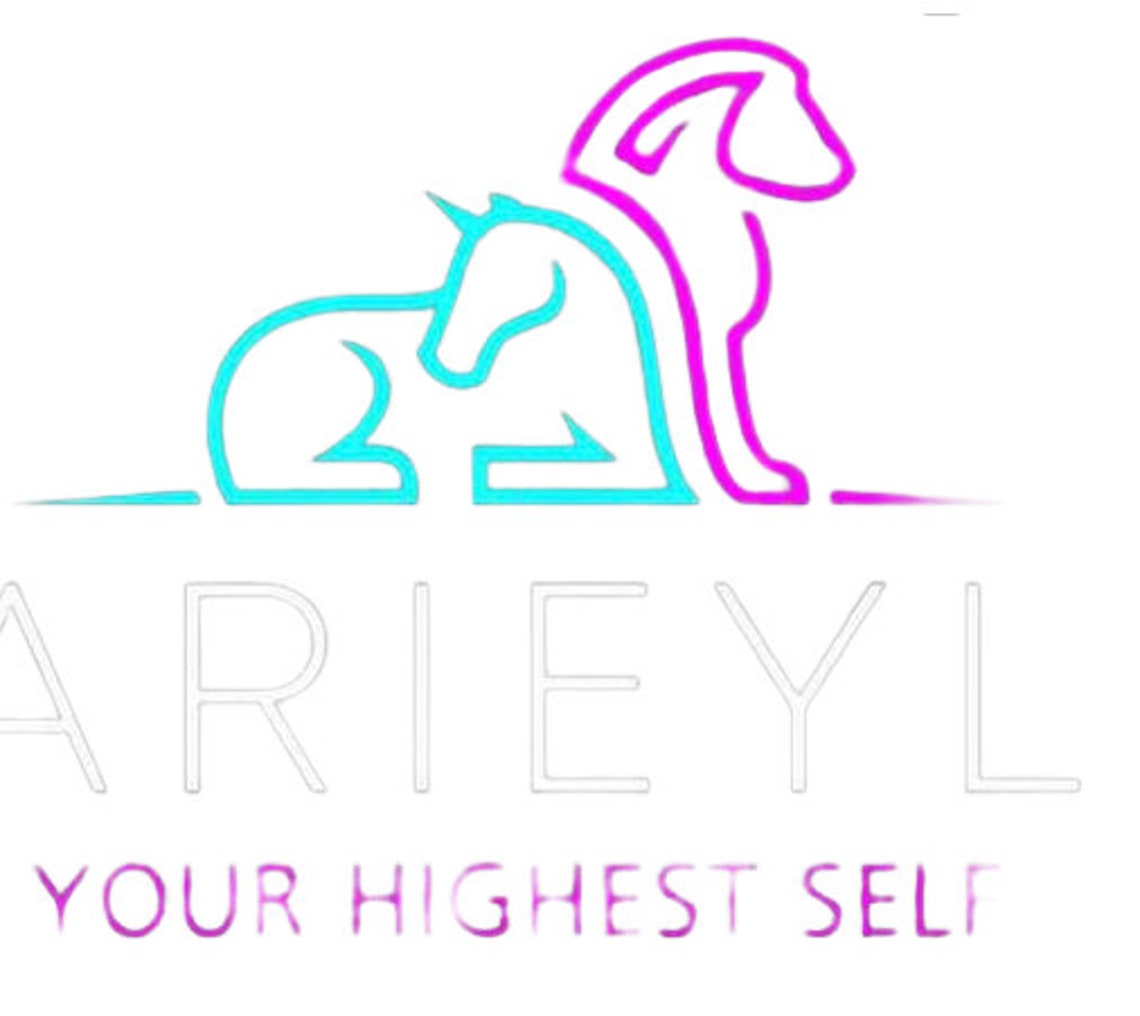 ARIEYL Decal - Etsy
