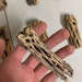 BUY 2 GET 1 FREE Cholla Wood Sticks Cholla Drift Wood Beautiful ...
