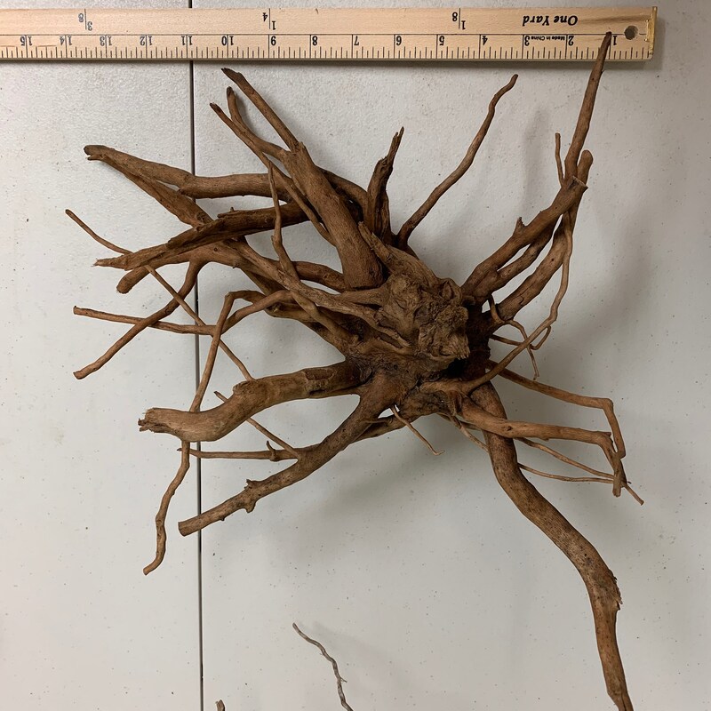 Spider Wood Aquarium - Etsy