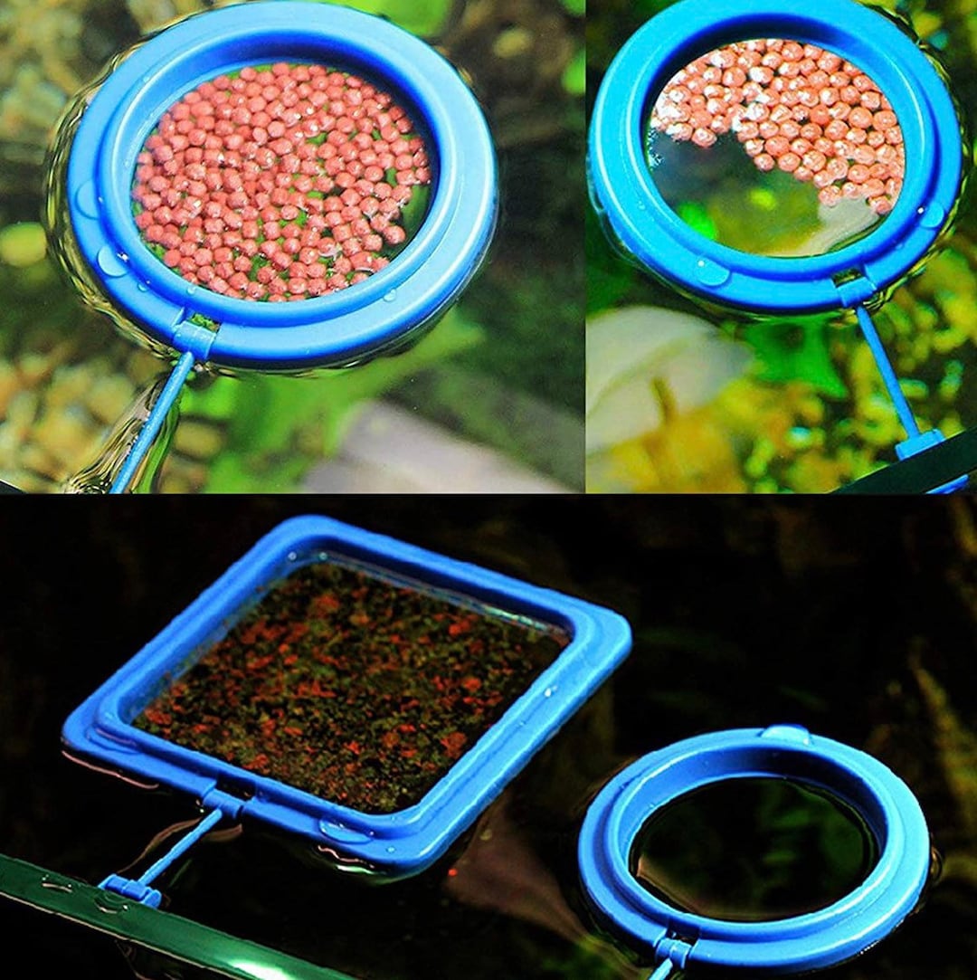 Fish Feeding Ring Aquarium Fish Tank Feeding Ring Suction Cup Floating ...