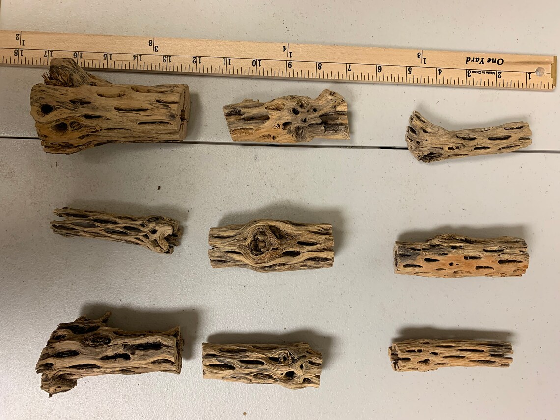 BUY 2 GET 1 FREE Cholla Wood Sticks Cholla Drift Wood Beautiful ...