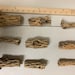 BUY 2 GET 1 FREE Cholla Wood Sticks Cholla Drift Wood Beautiful ...