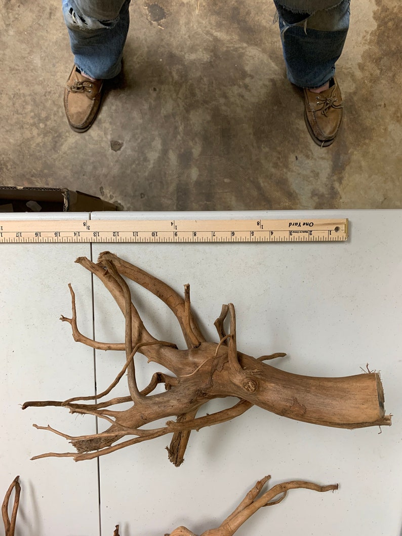 Spider Wood Driftwood Aquarium Drift Wood Aquascape Spiderwood Etsy 