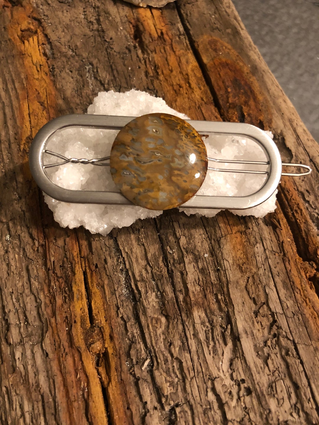 Dinosaur Bone Fossil Silver Hair Clip, Gold Tone Barrette, Earth ...