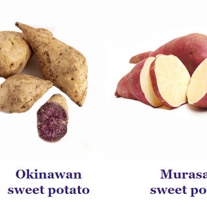 18 Variety Pack of Asian Purple Sweet Potato Slips Cuttings purple ...