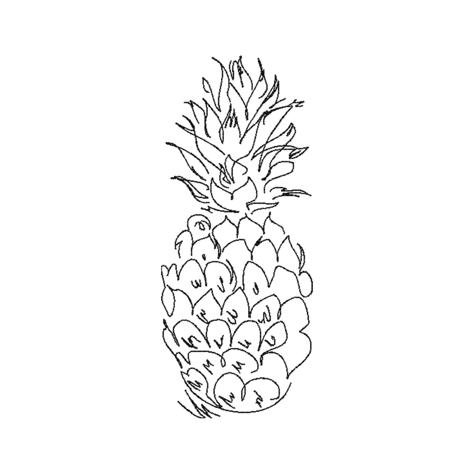Pineapple Line Art Machine Embroidery Design - Etsy