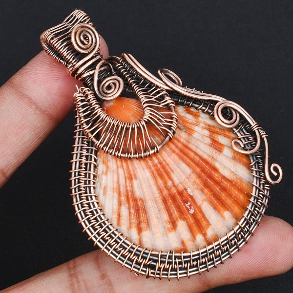 Sea Shell Wire Wrap - Etsy