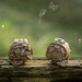Tripod Golden Toad Tea Pet Incense Sticks,handmade Pottery Tea Pet - Etsy